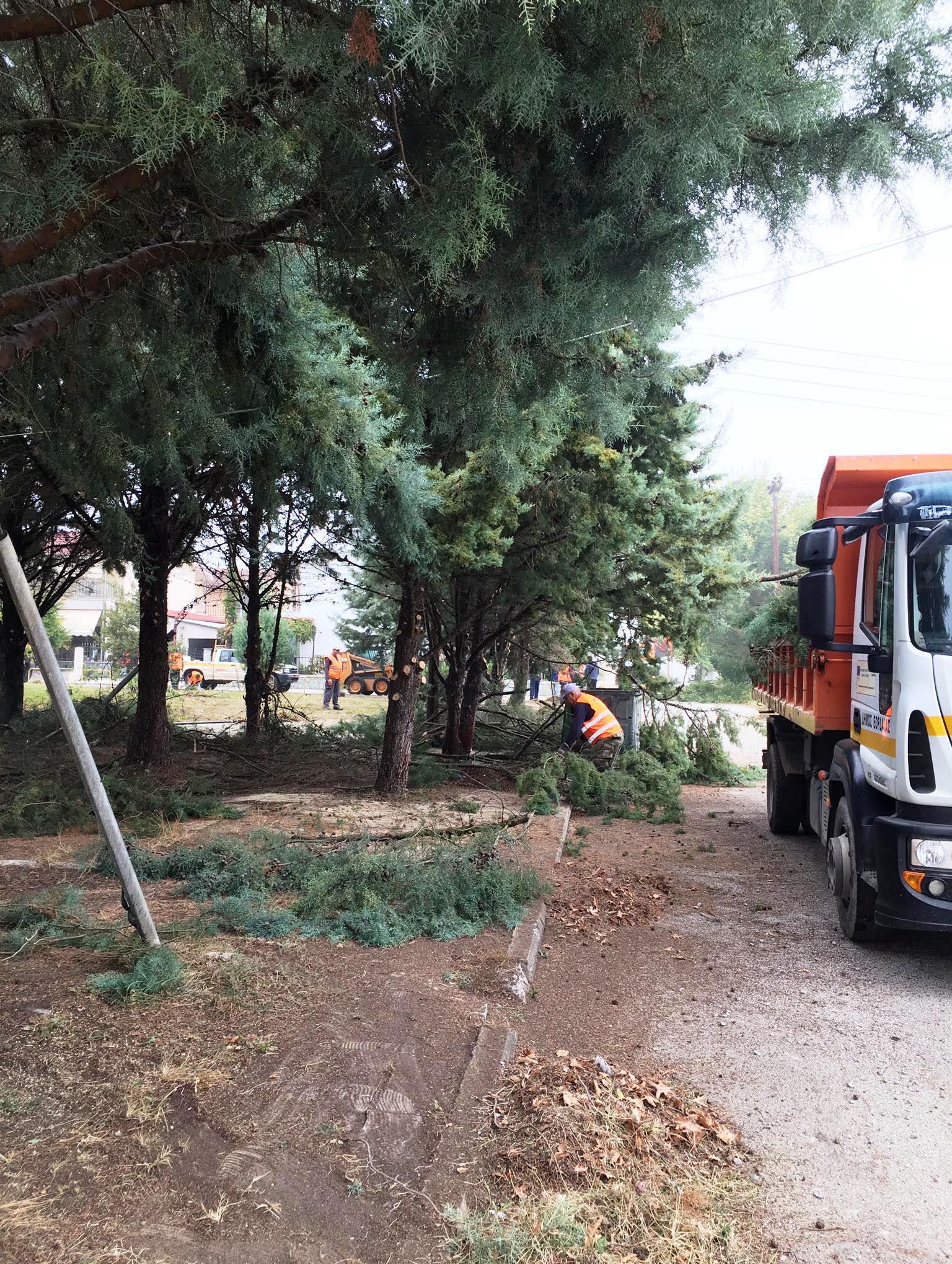Ξεκίνημα για τον «Θεσμό της Γειτονιάς και της Κοινότητας» | Agrovoice ...