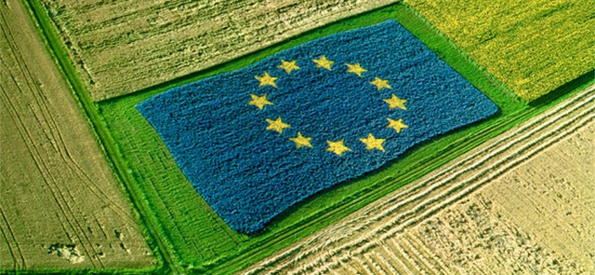 Πολιτική συμφωνία για τη νέα ΚΑΠ | Agrovoice.gr | αγροτικά νέα ...