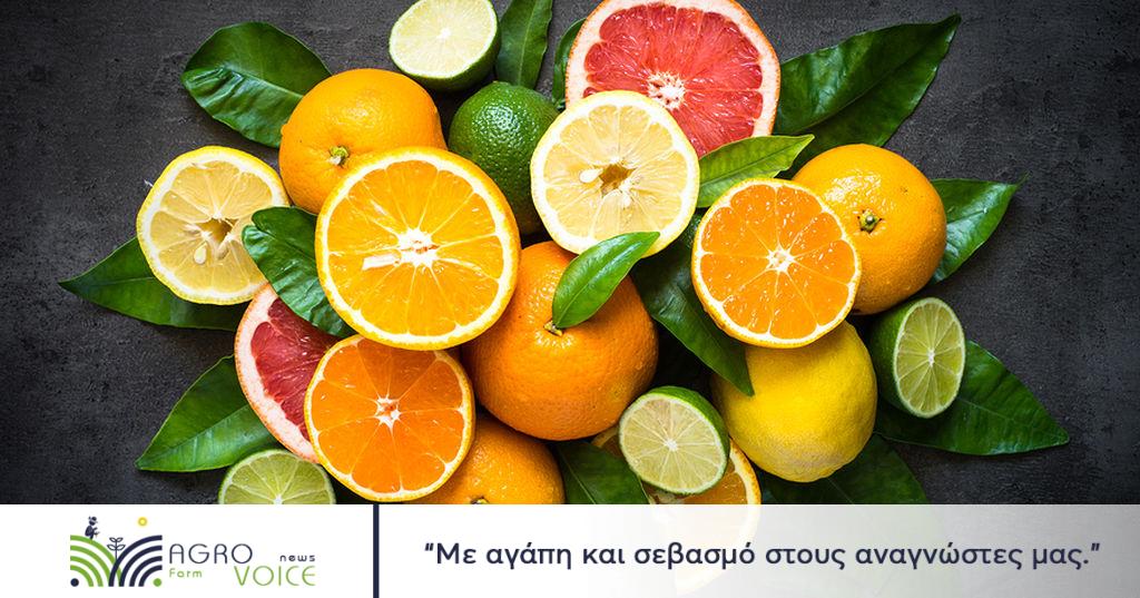 Γεωργικές προειδοποιήσεις για τα εσπεριδοειδή